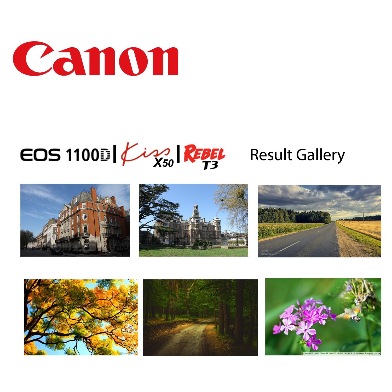 Canon EOS 1100D | Kiss X50 | Rebel Digital T3 With Kit Lens - Mega City