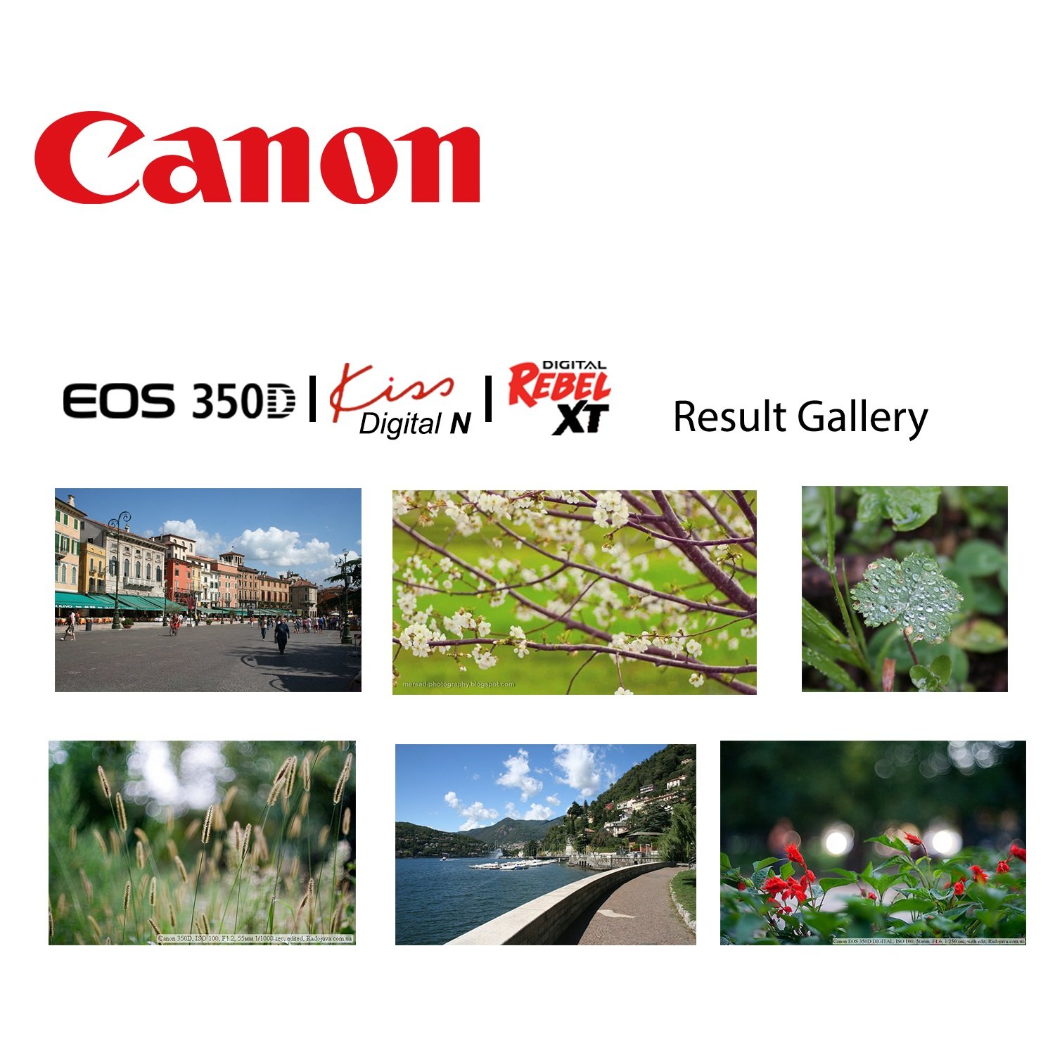 Canon Image Square Logo Canon Image Square By Metropolitan Photohub