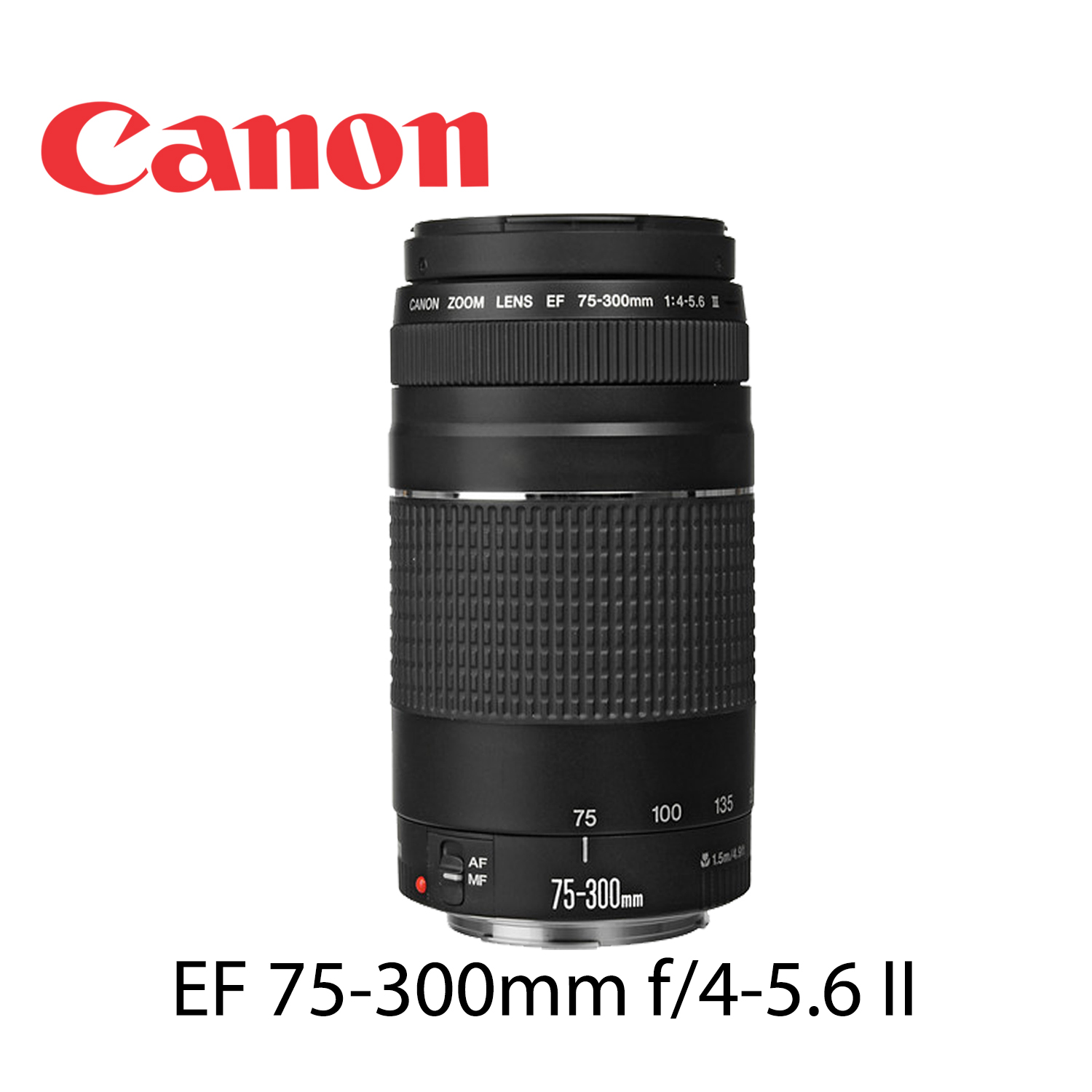Canon 75-300mm II Lens - Mega City