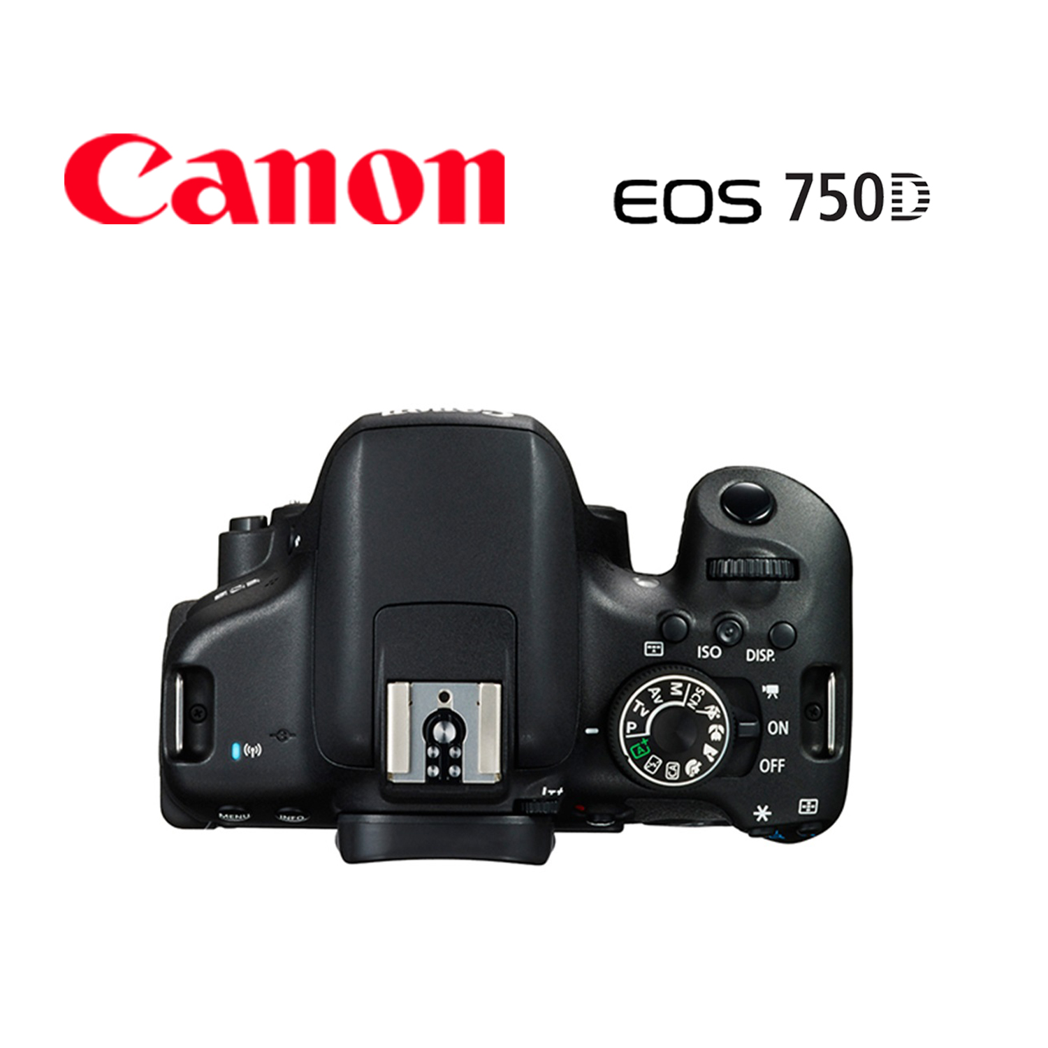 Canon EOS 750D DSLR Camera Kit lens + Zoom Lens + Card + Bag + Hood + Protector + Filter - Mega City