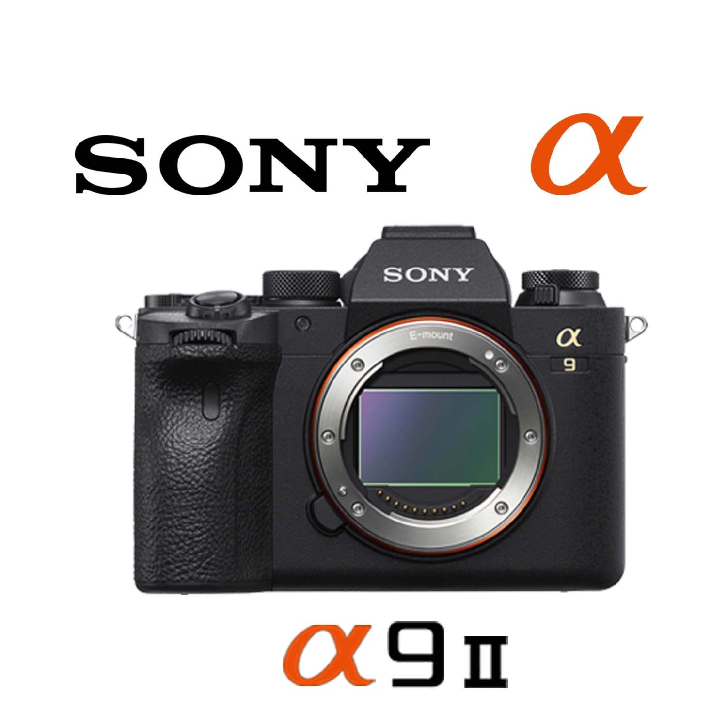 Sony A9 II Mirrorless Camera Body - Mega City