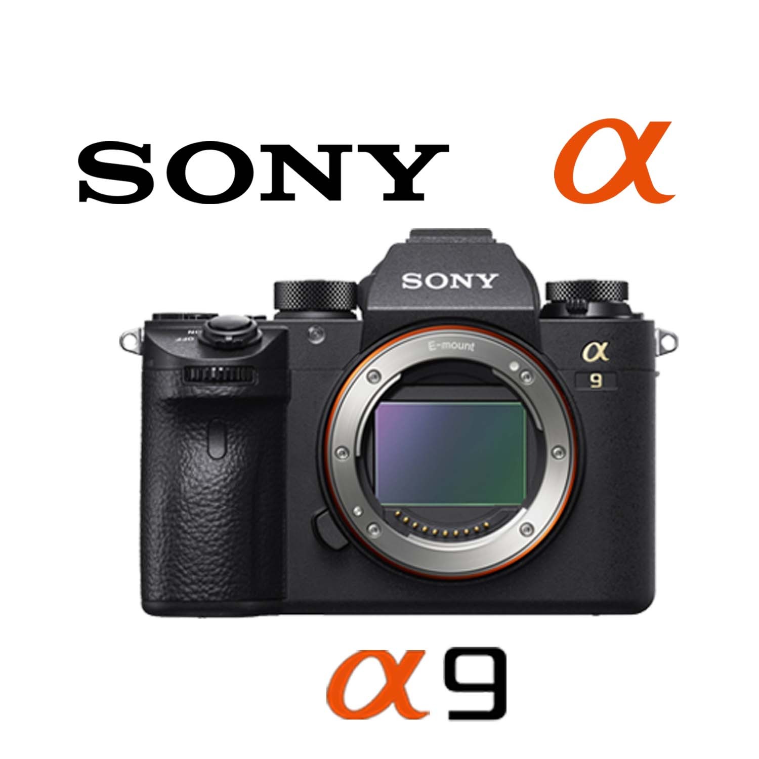 Sony A9 Mirrorless Camera Body - Mega City