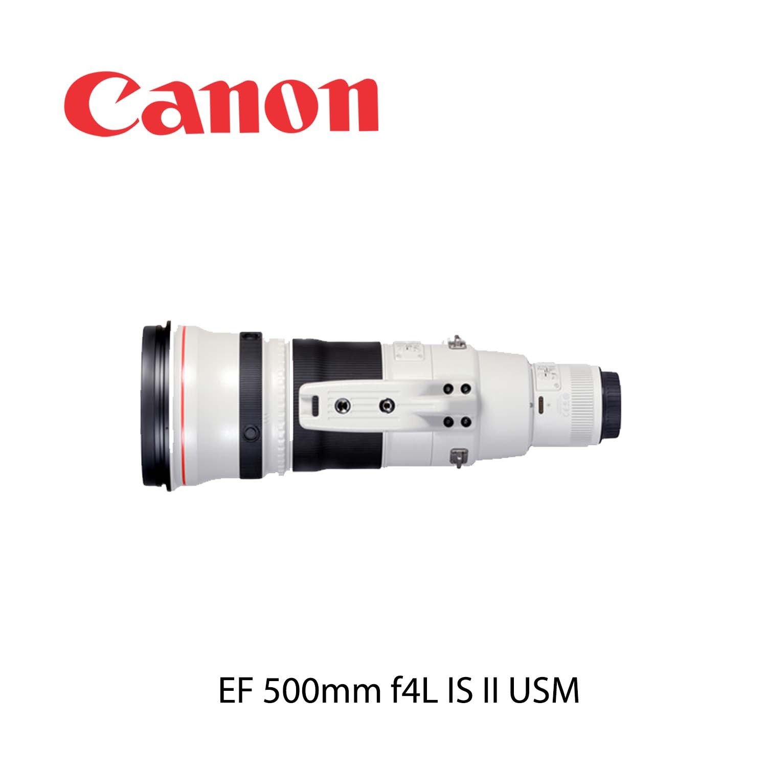Canon EF 500mm f/4L IS II USM Lens - Mega City
