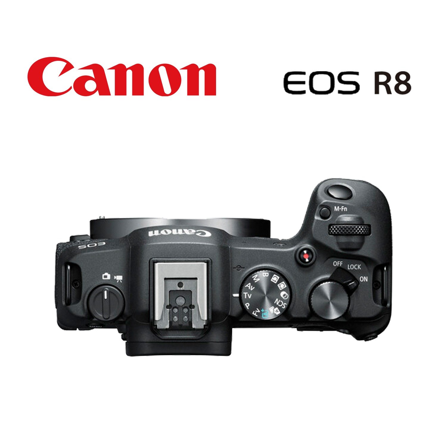 Canon EOS R8 Mirrorless Camera Body - Mega City